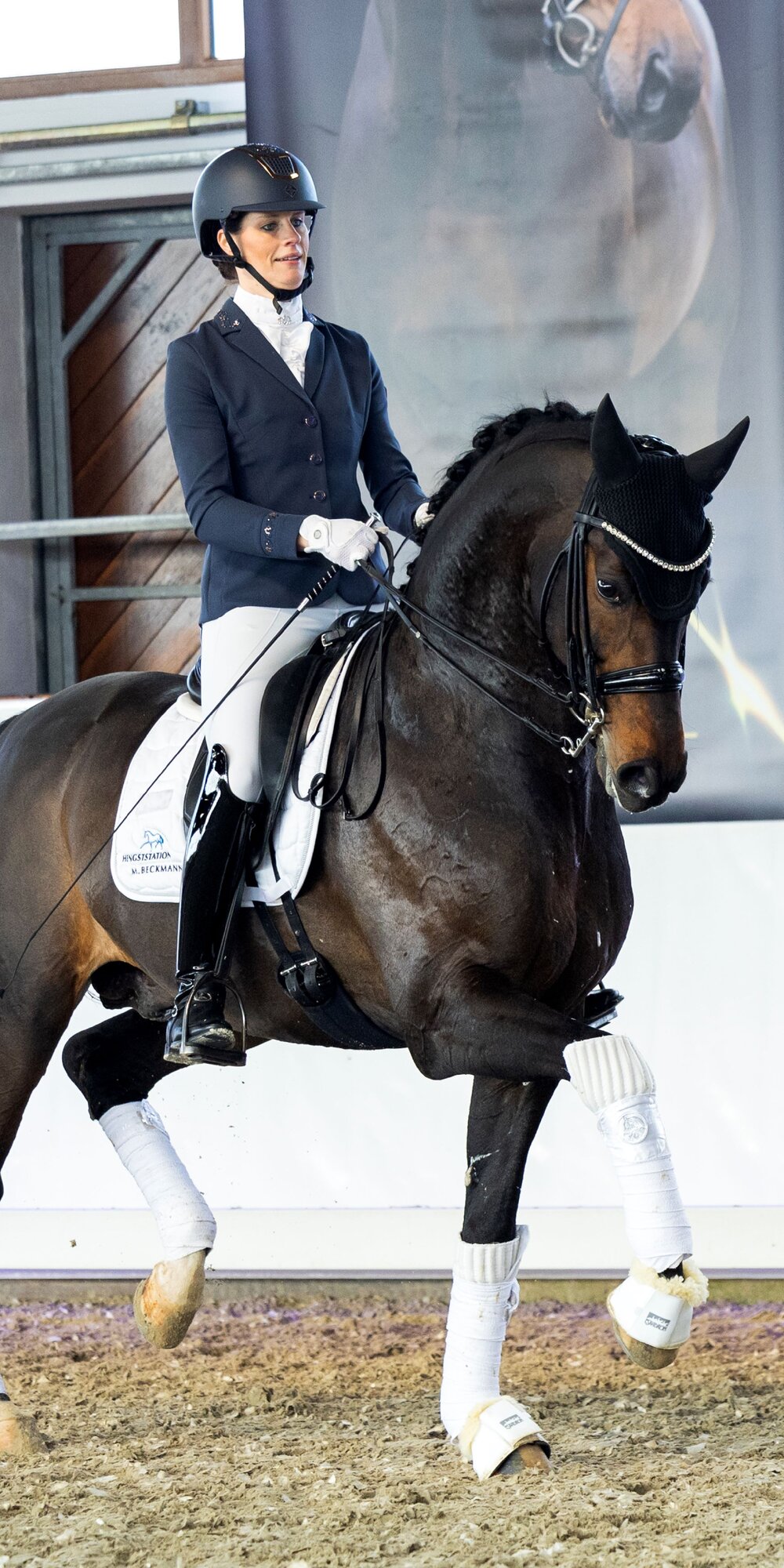 Home - Hengststation M. Beckmann