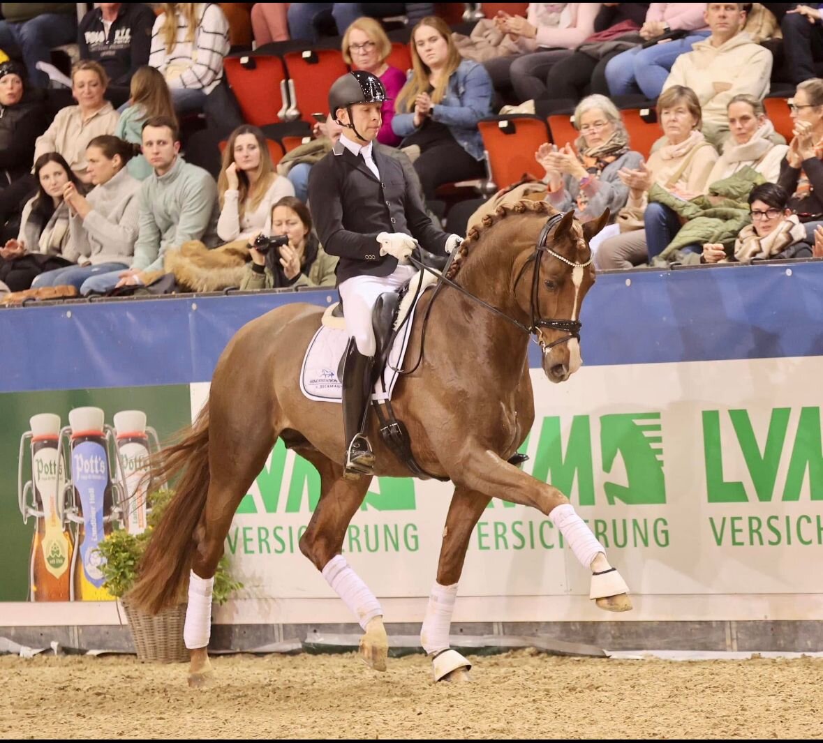 Entertainer Number One - Hengststation M. Beckmann