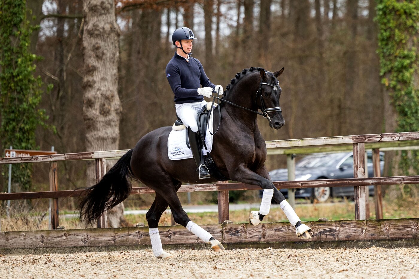 Fanegro - Hengststation M. Beckmann