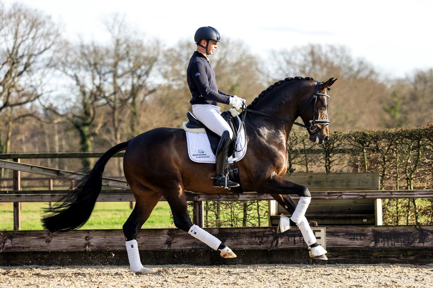 Vision - Hengststation M. Beckmann